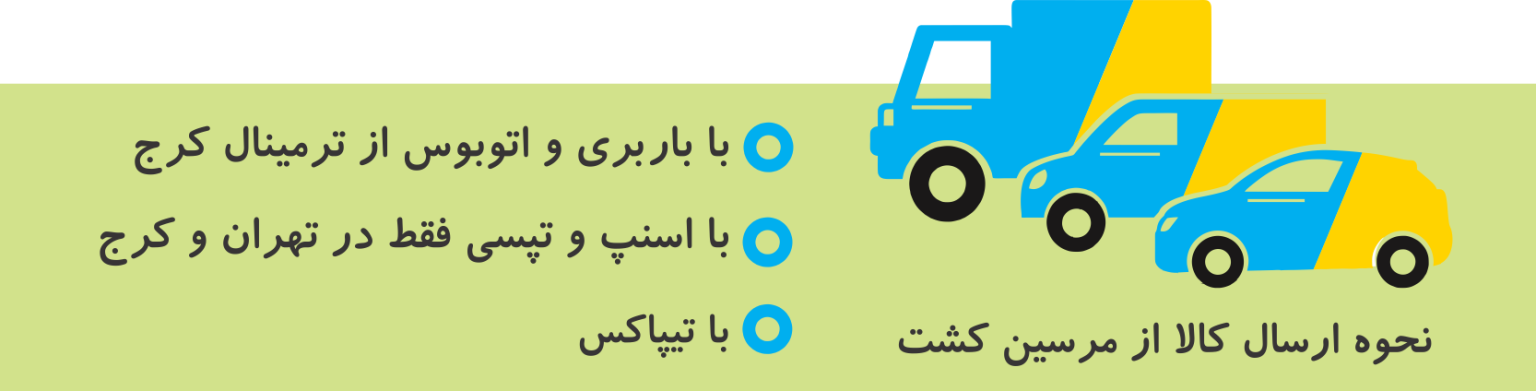 درخت کاج، ویژگی‌ها، اهمیت در اکوسیستم و طراحی فضای سبز - مرسین کشت ...