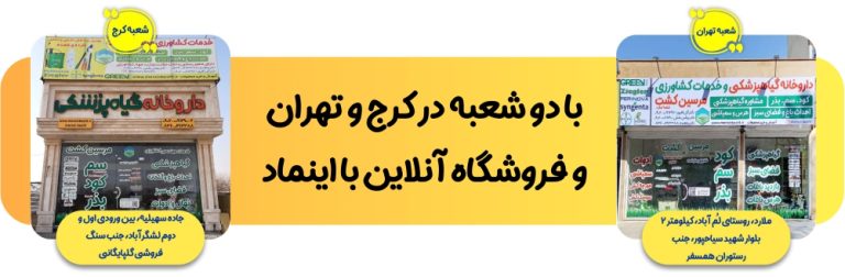درخت کاج، ویژگی‌ها، اهمیت در اکوسیستم و طراحی فضای سبز - مرسین کشت ...